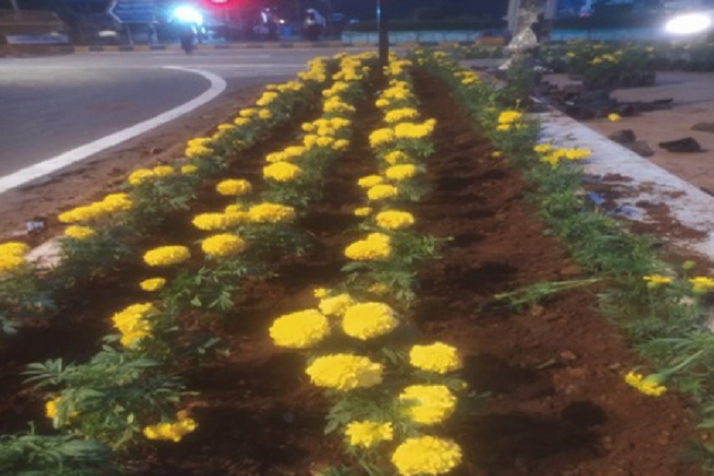 Inauguration Ceremony of Improvements and Beautification at Kalanagar ...